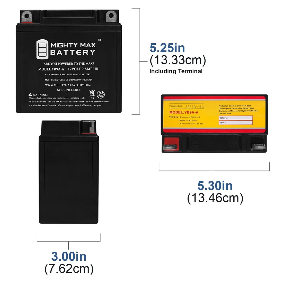 MIGHTY MAX BATTERY YB9A-A 12-Volt 9AH Battery Replacement for Champion ...