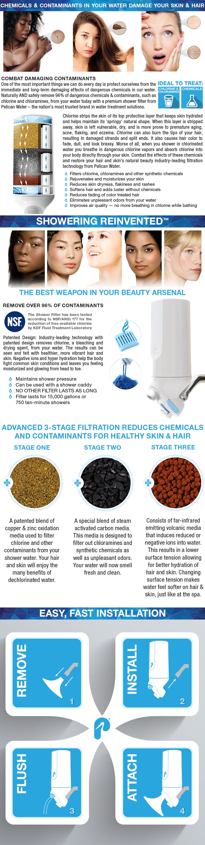 PENTAIR 3-Stage Premium Shower Filter with 5 ft. Wand Combo PSF-1W-P ...