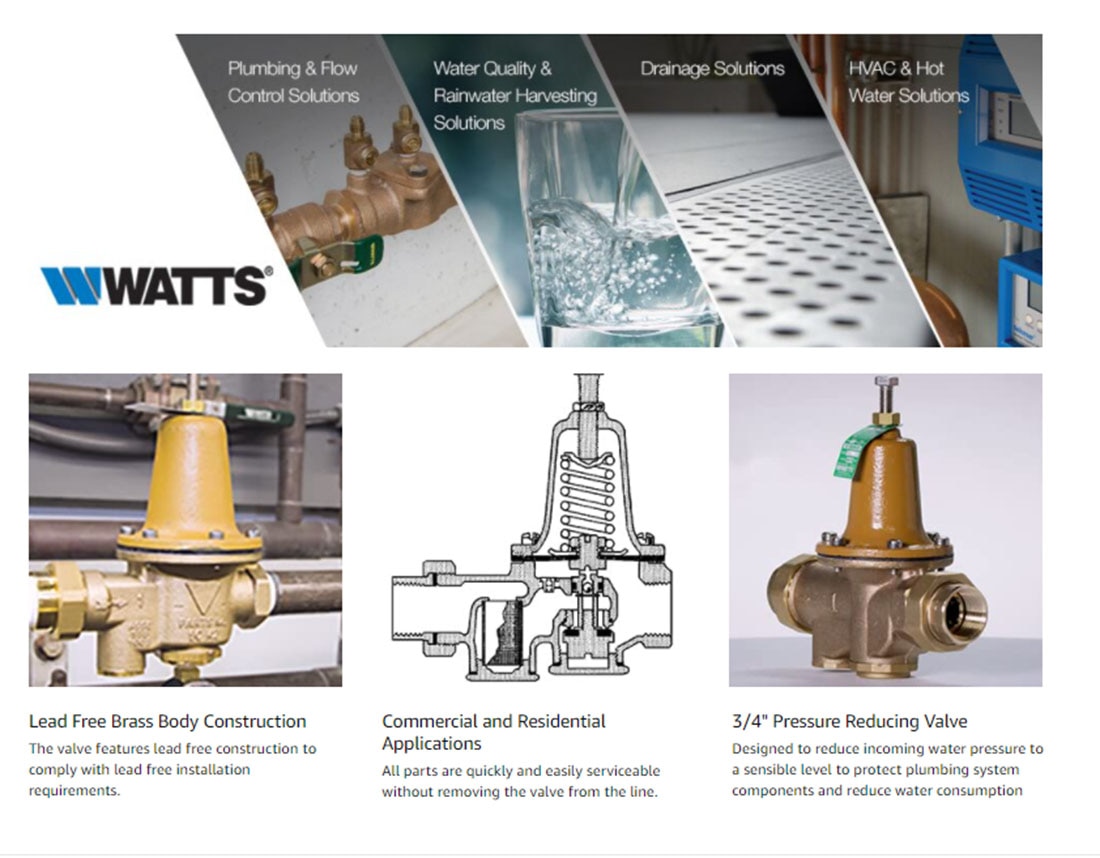 Watts 1 in. Lead-Free Brass FPT x FPT Water Pressure Reducing Valve 1 ...