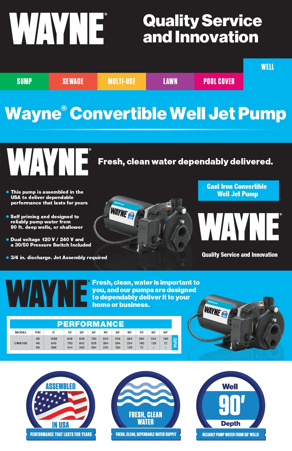 Wayne Upgraded 1 HP Cast Iron Convertible Well Jet Pump CWS100 WYN2 ...