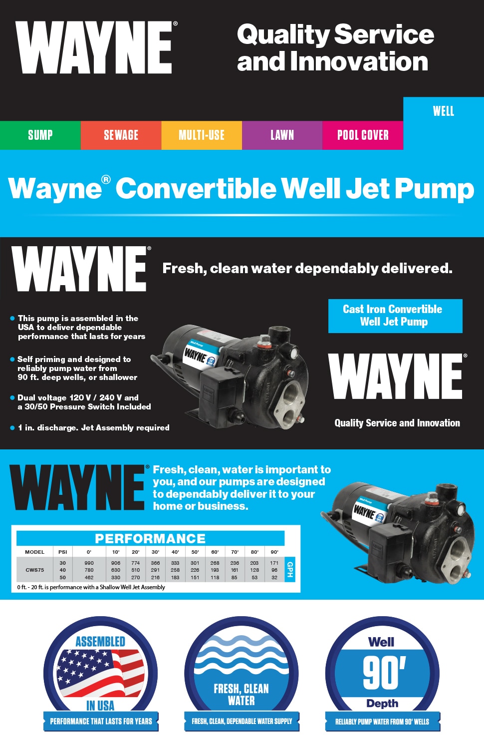 Wayne Upgraded 3/4 HP Cast Iron Convertible Well Jet Pump CWS75 WYN2 ...