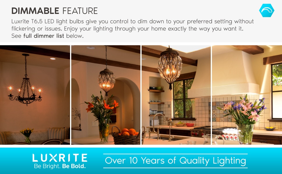 LUXRITE 60-Watt Equivalent T6 T6.5 Dimmable Edison LED Light Bulbs UL ...