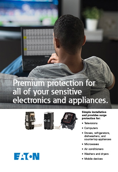 Eaton 18 kA BR 2-Pole Pigtail Neutral Whole Home Surge Protection ...