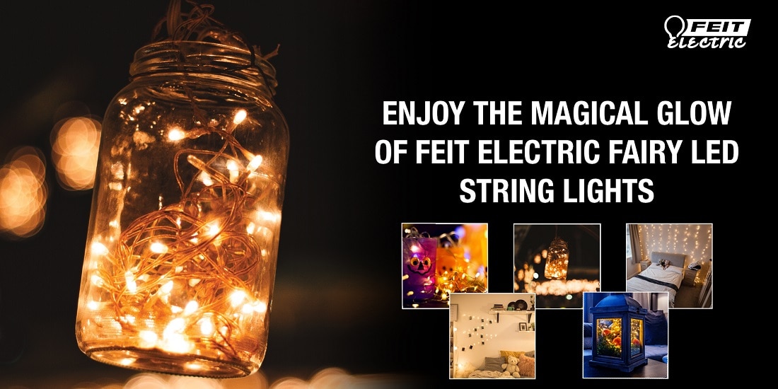 Feit Electric 20-Light 6 ft. Battery Operated Mini LED Indoor/Outdoor ...