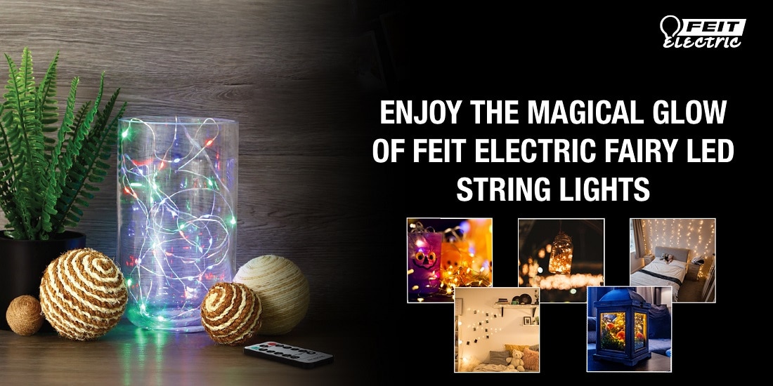 Feit Electric 100-Light 30 ft. Battery Operated Mini LED Indoor/Outdoor ...