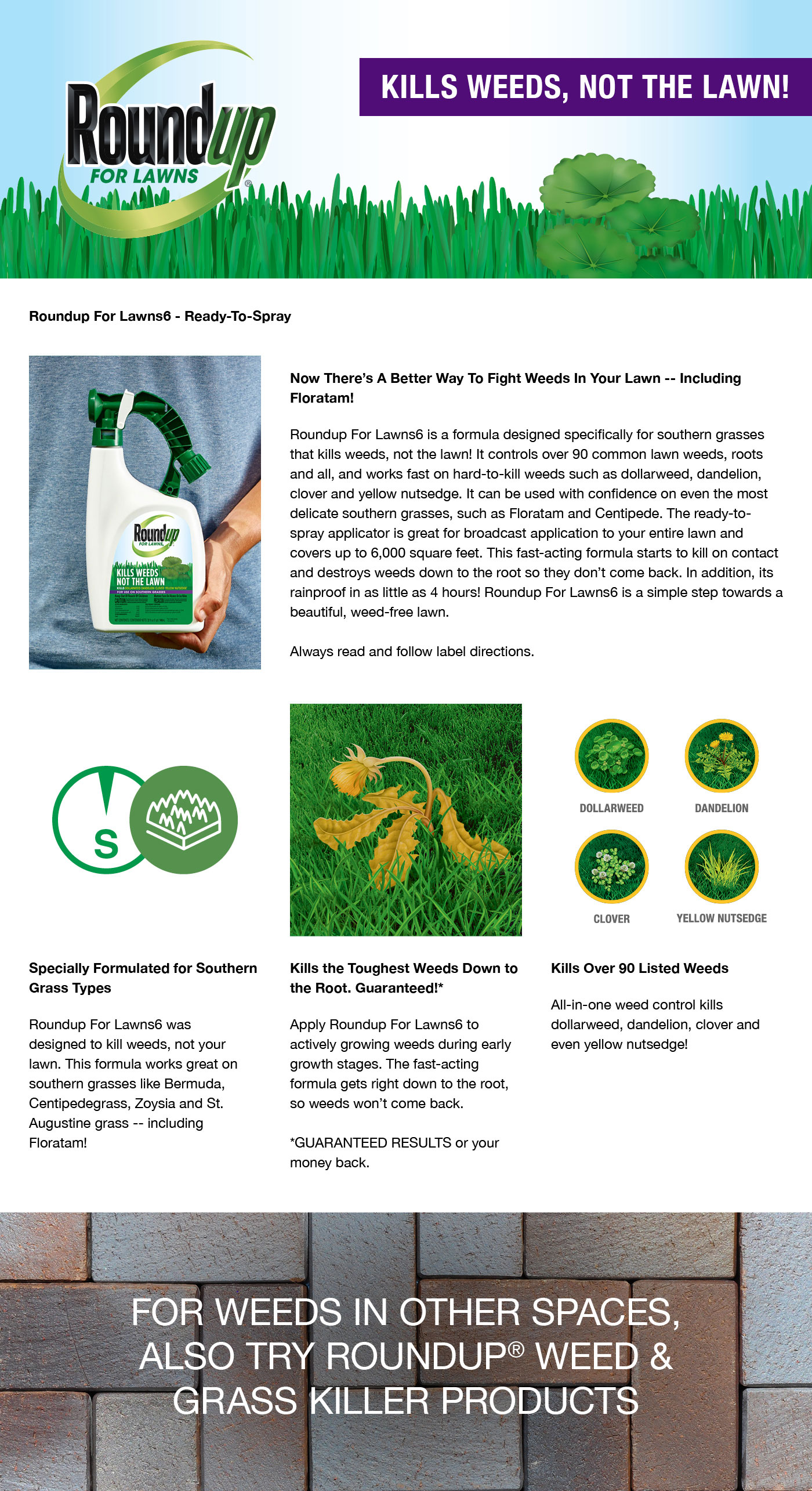 Roundup Roundup for Lawns Ready-to-Spray 32 oz. (Southern) 5008601 ...