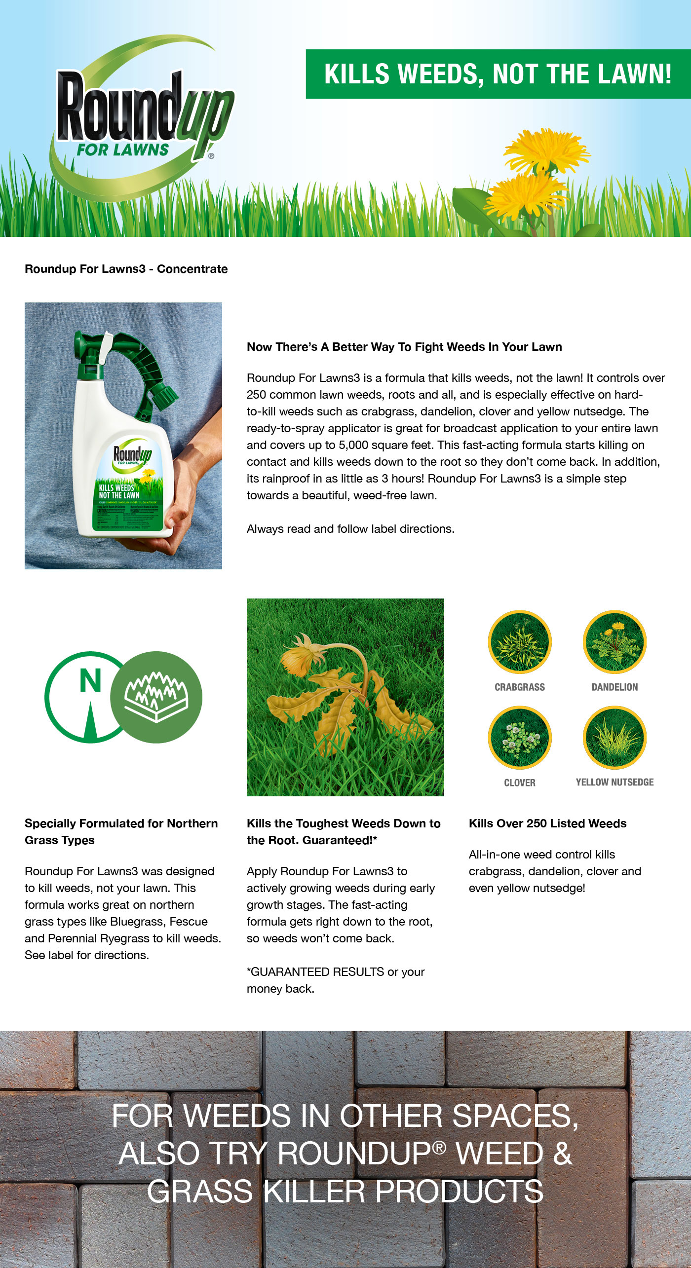 Roundup Lawns 3 Ready-to-Spray 32 oz. (Northern) 5008815PM - The Home Depot