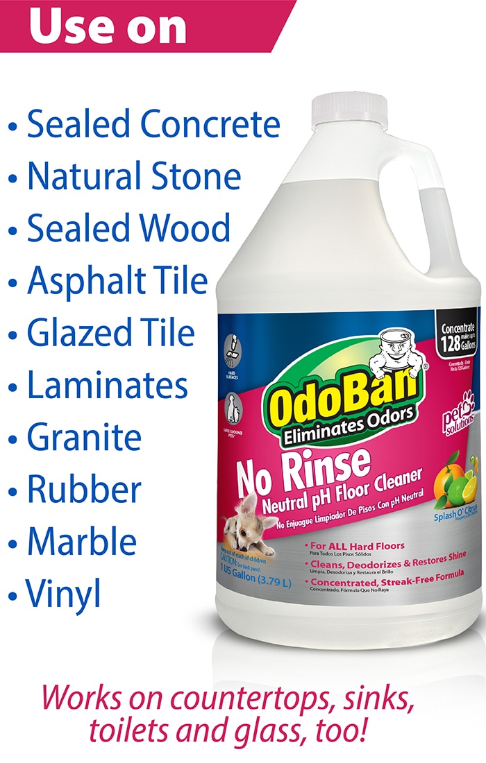 OdoBan 1 Gal. No Rinse Neutral pH Floor Cleaner, Concentrated Hardwood ...
