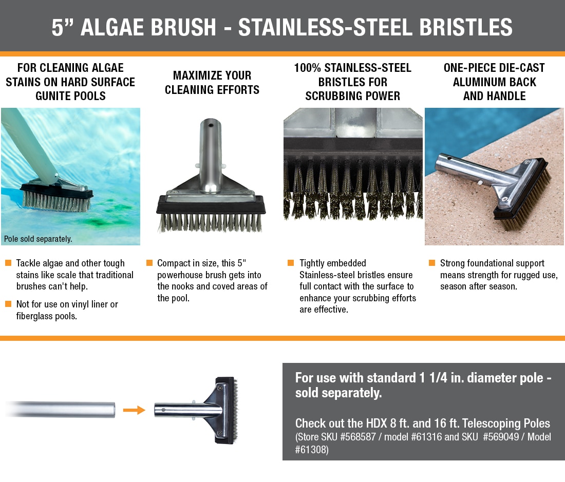 HDX 5 in. Stainless Steel Bristle Swimming Pool Brush for Algae Removal ...