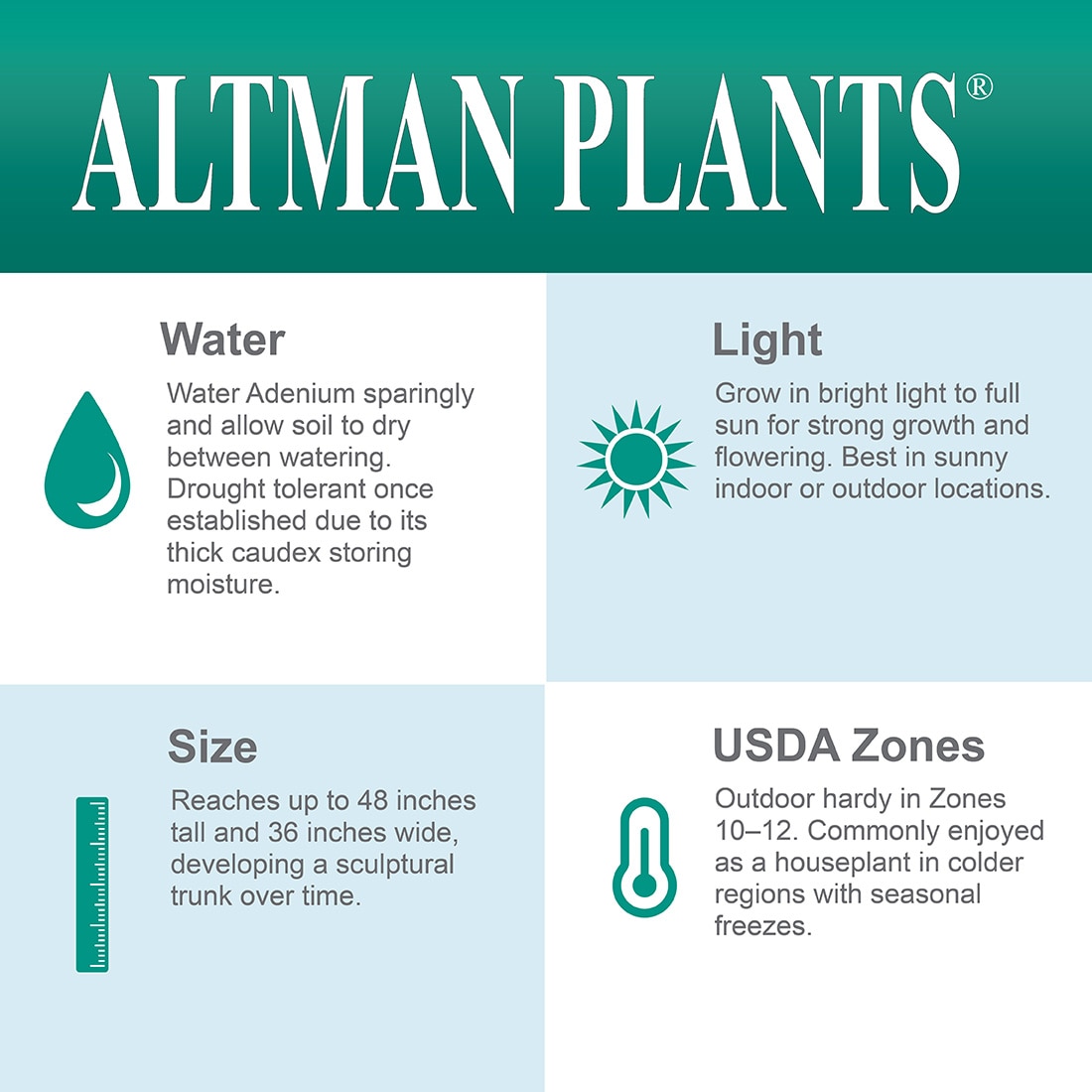 ALTMAN PLANTS Picotee Adenium Succulent (Desert Rose) in 1 Gal. Pot ...