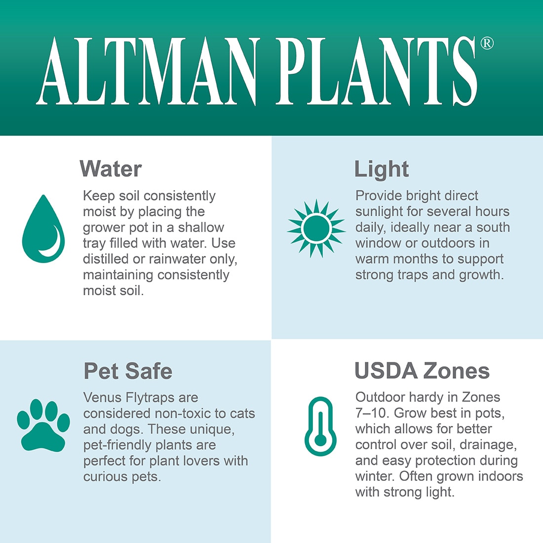 ALTMAN PLANTS Live Venus Flytrap Carnivorous Plant, Pet Friendly ...