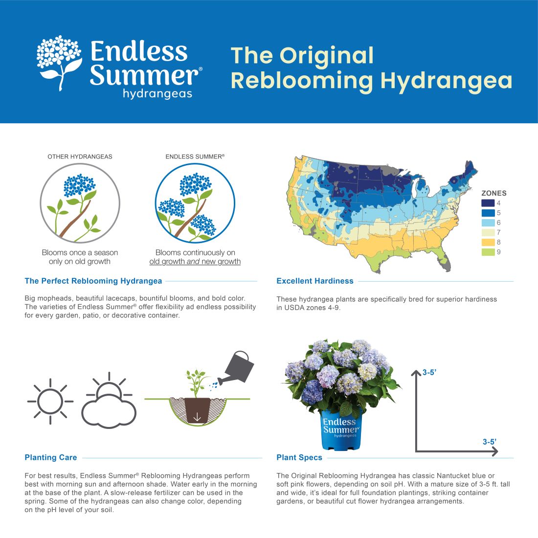 Endless Summer 1 Gal. The Original Reblooming Hydrangea Flowering Shrub ...