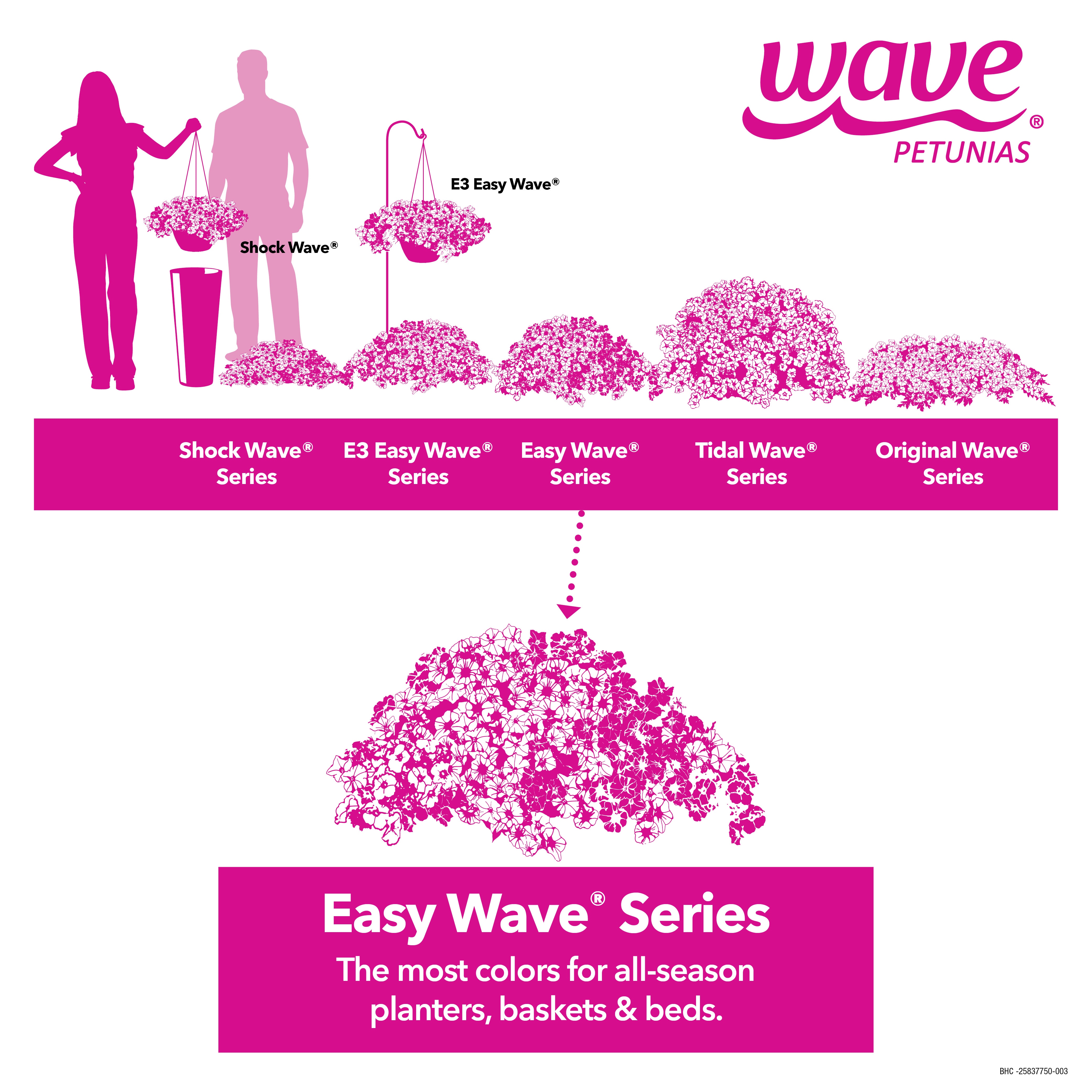 EASY WAVE 2.5 in. Neon Rose Easy Wave Petunia Annual Plant with Pink ...