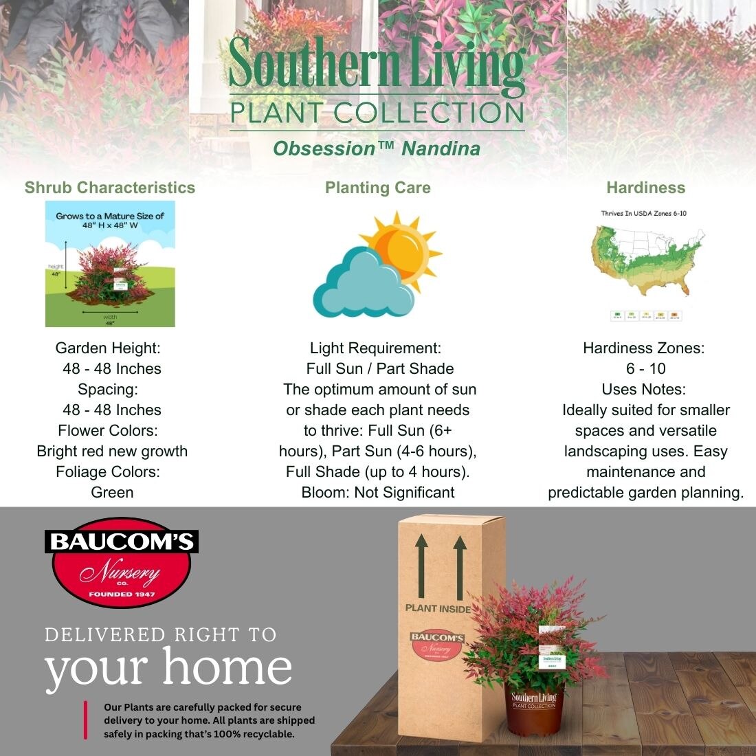 SOUTHERN LIVING 2 Gal. Obsession Nandina Shrub with Bright Red Foliage ...