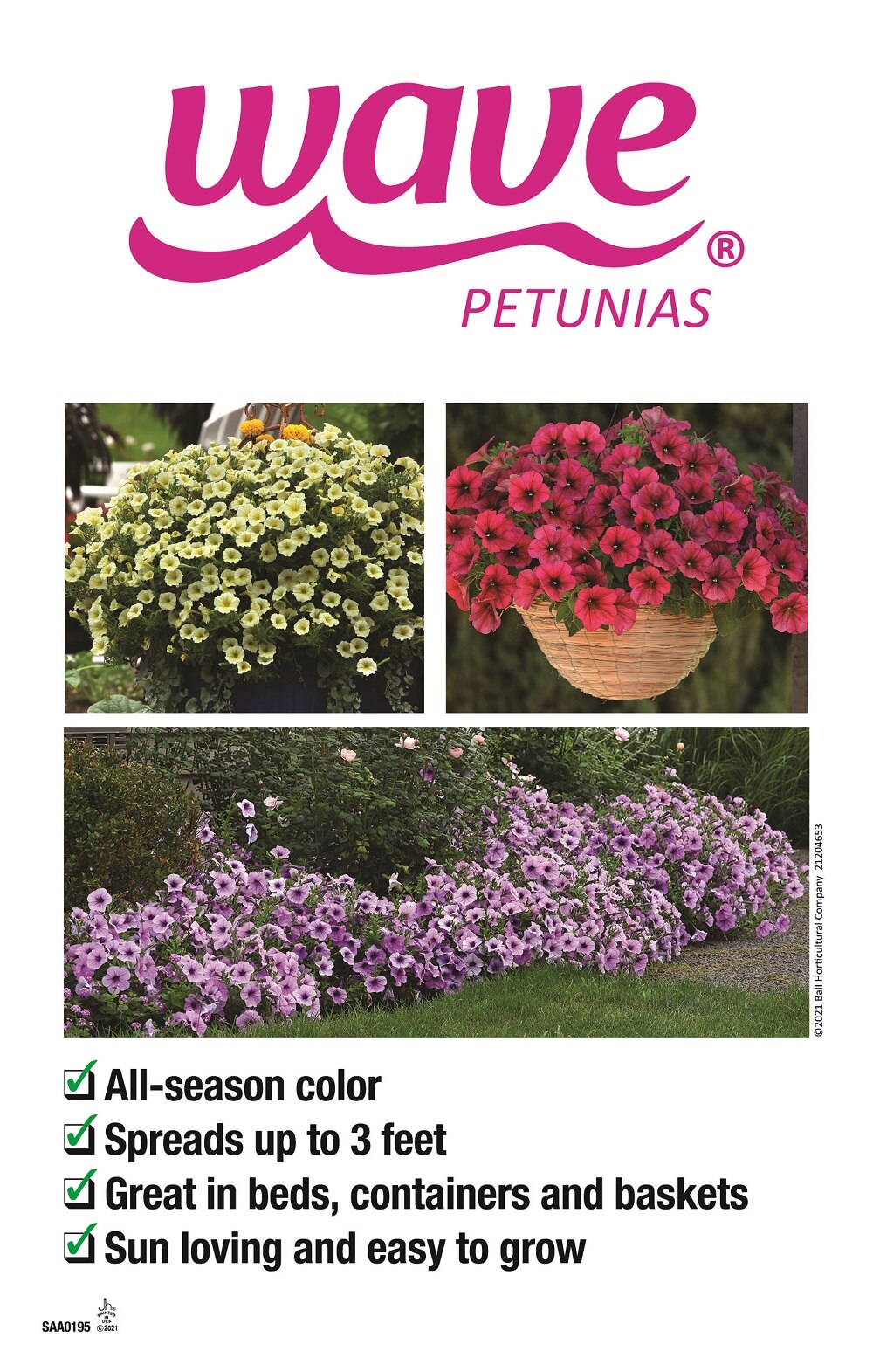 EASY WAVE 6 In. Pink Easy Wave Petunia Annual Live Plant with Pink ...