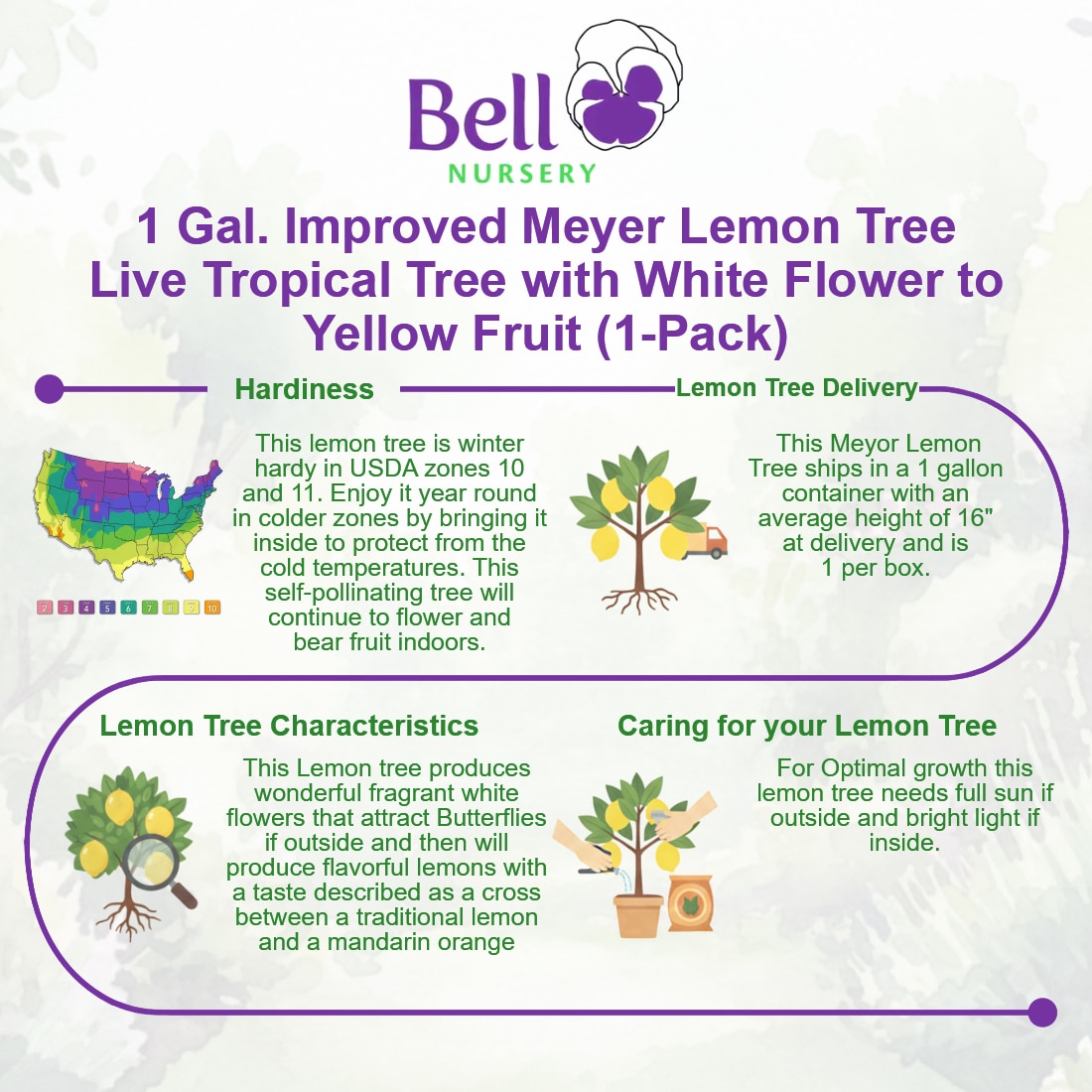 BELL NURSERY 1 Gal. Improved Meyer Lemon Tree Live Tropical Tree with ...