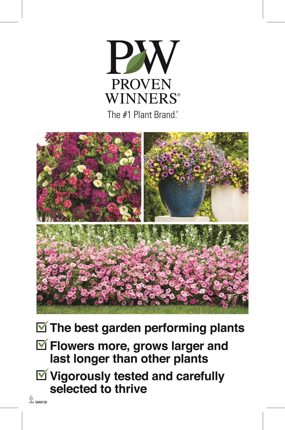 PROVEN WINNERS 1 Gal. Echinacea Yellow My Darling Plant with Yellow ...