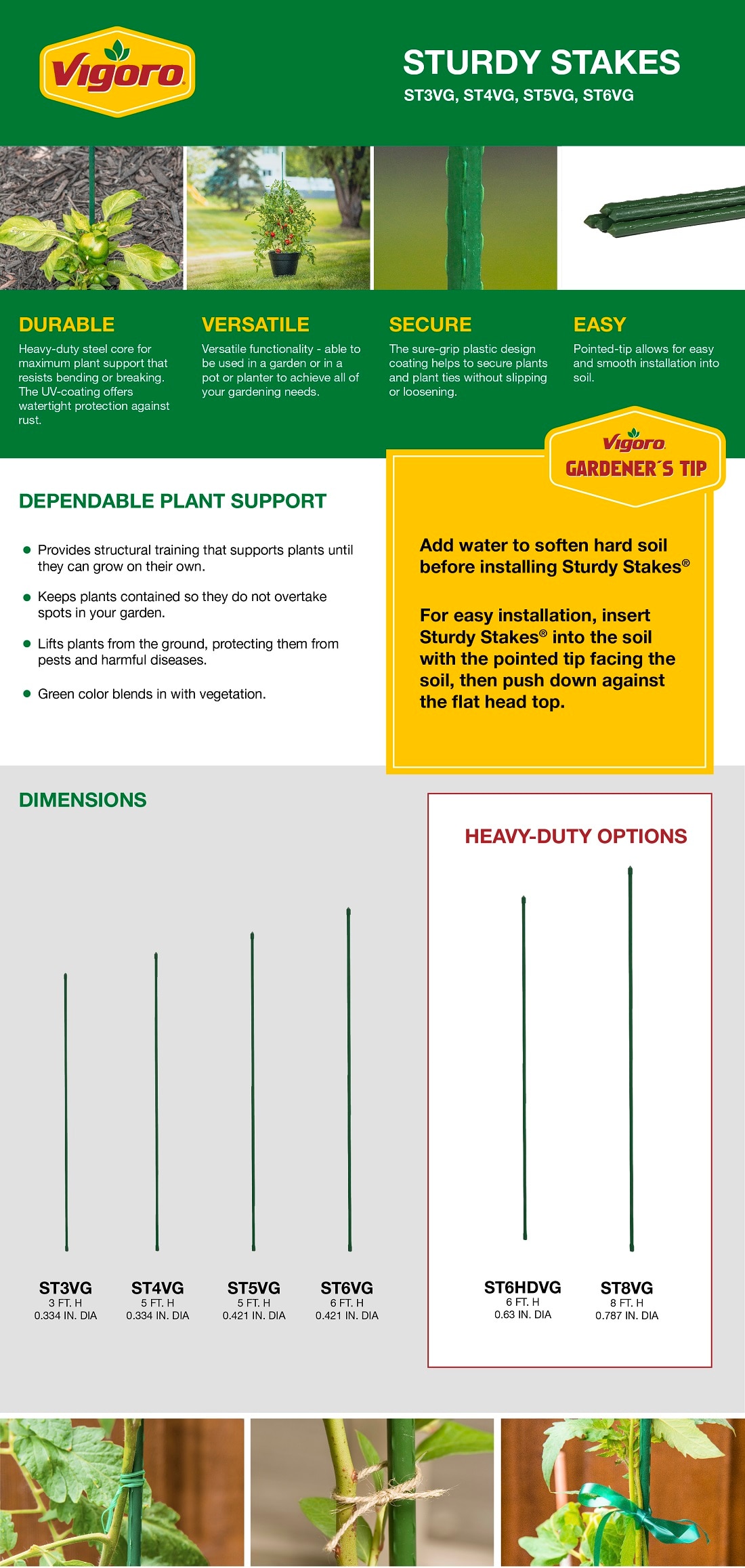 Vigoro 3 ft. Green Colored Steel Core Garden Stake ST3VG - The Home Depot