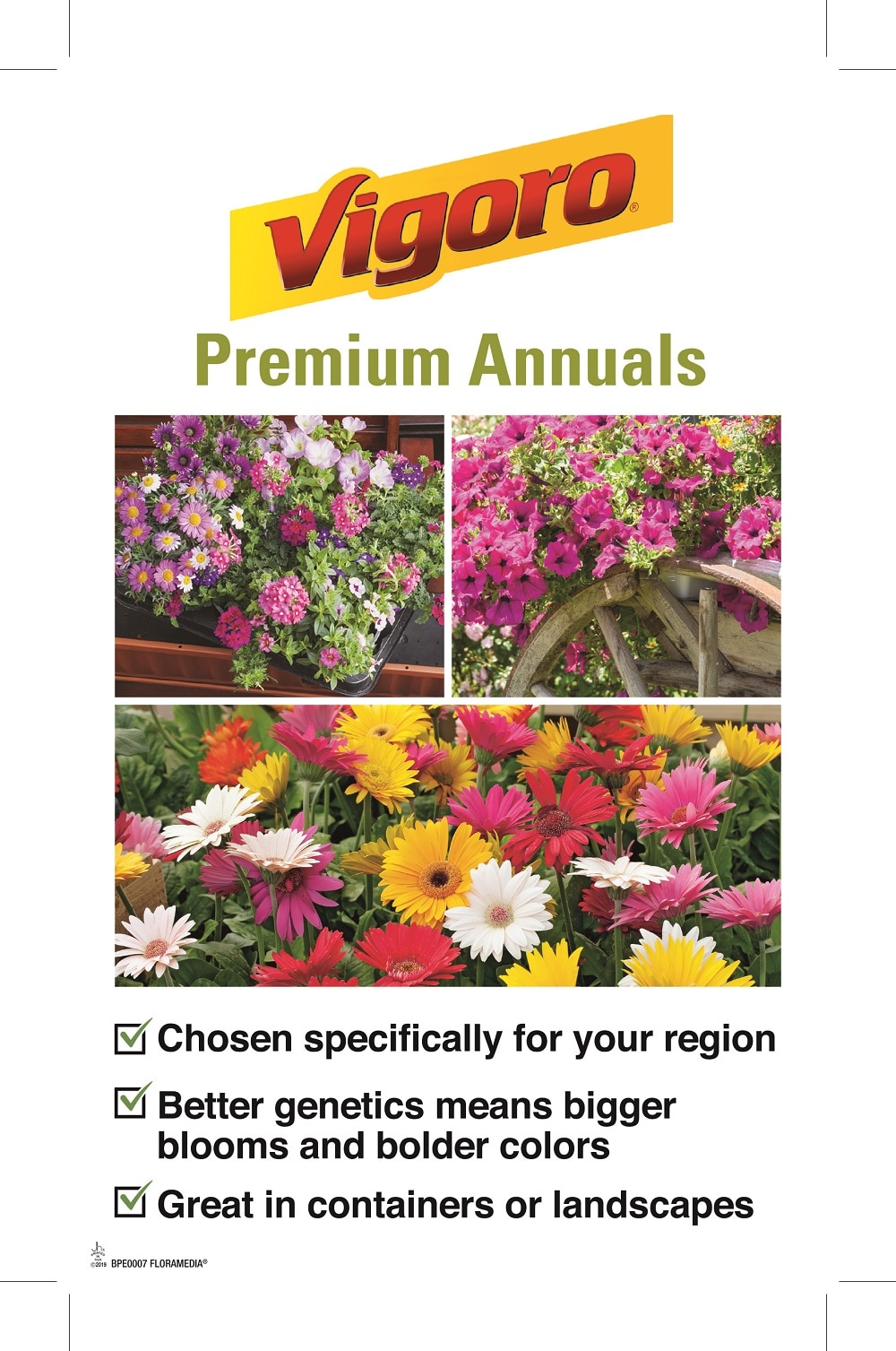 Vigoro 1 Gal. White Lantana Plant 5352 - The Home Depot