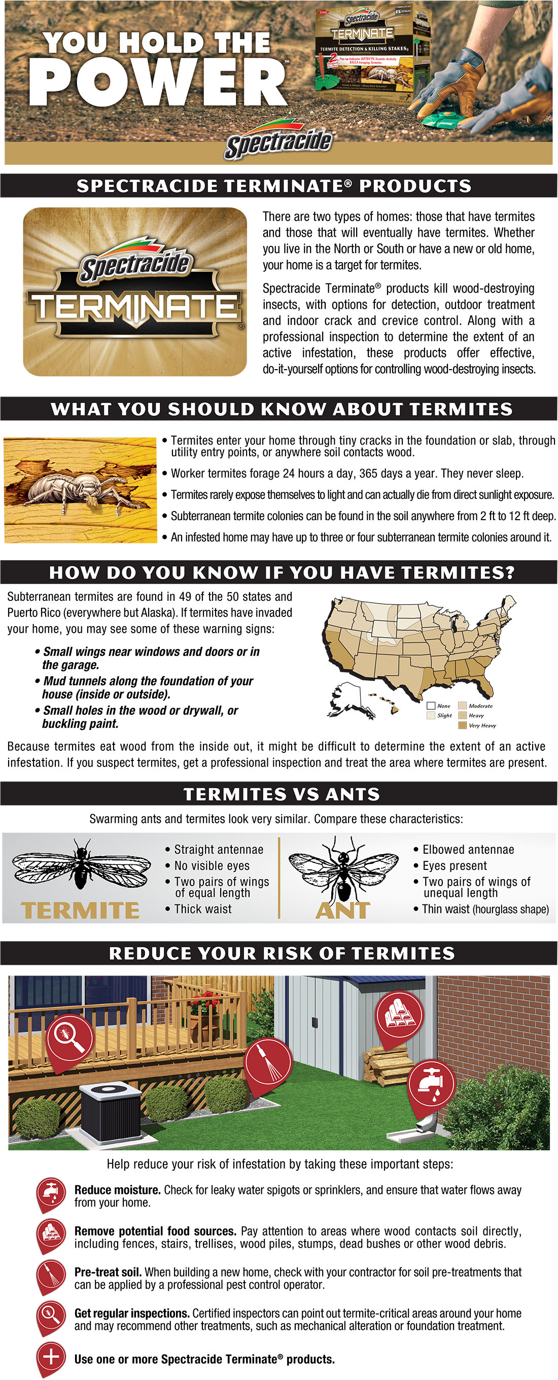 Spectracide 32 oz. Terminate Termite and Carpenter Ant Killer ...