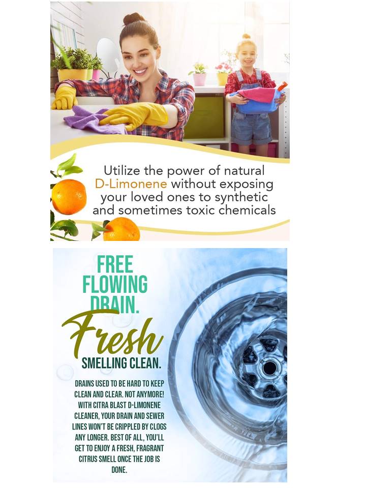 Eco Clean 1 Gal. Citra Blast D-Limonene Cleaner-CITRABLAST-1 - The Home ...