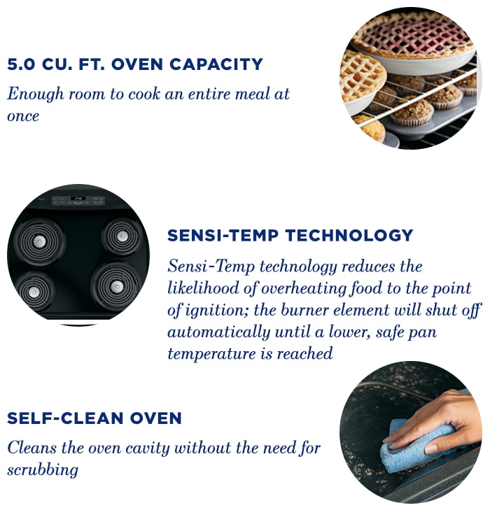 GE 30 in. 4 Burner Element Free-Standing Electric Range in Black ...