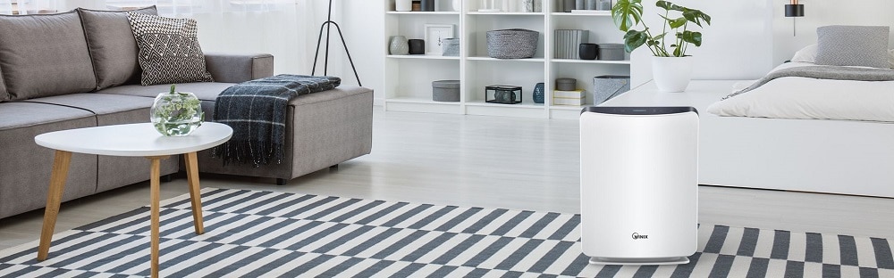 Winix D480True HEPA 3-Stage Air Purifier, AHAM Verified for 480 sq.ft ...